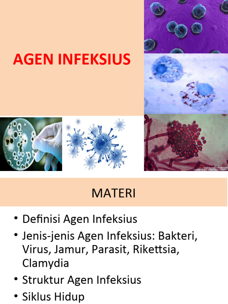 Agen Infeksius | PDF | Griya & Taman | Kesehatan Holistik
