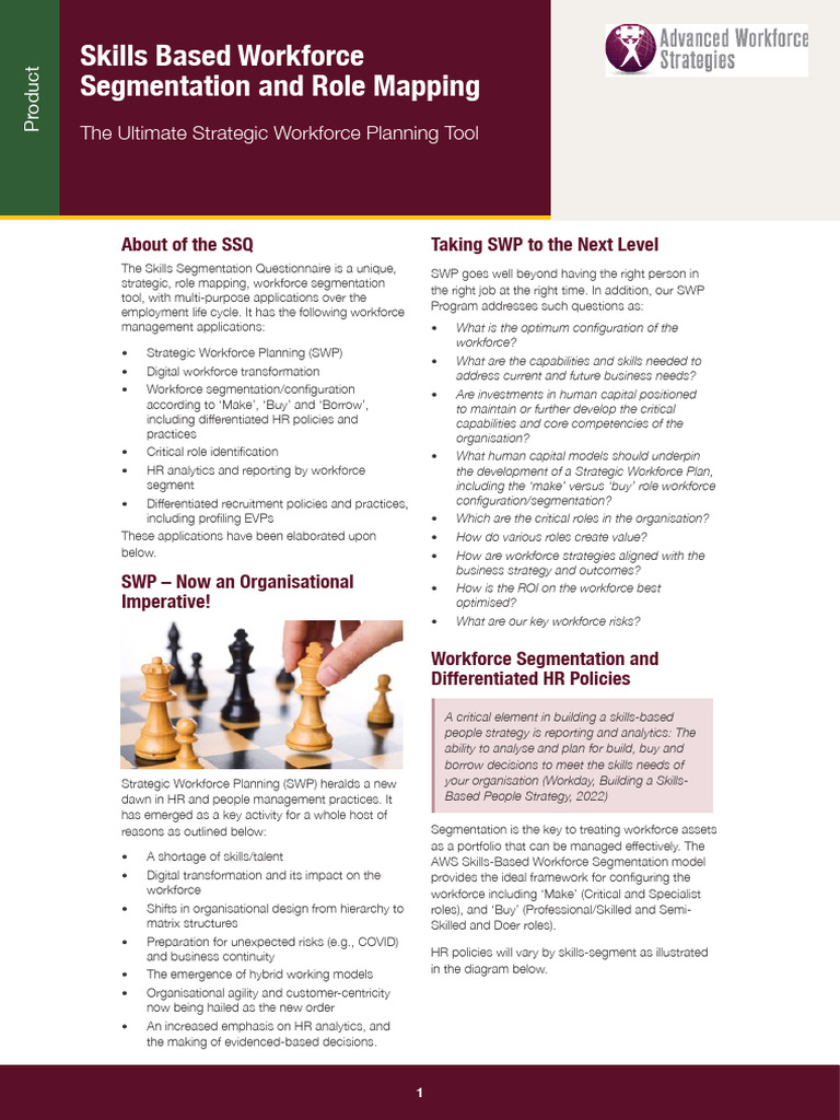 Skills Based Workforce Segmentation and Role Mapping | PDF | Strategic ...