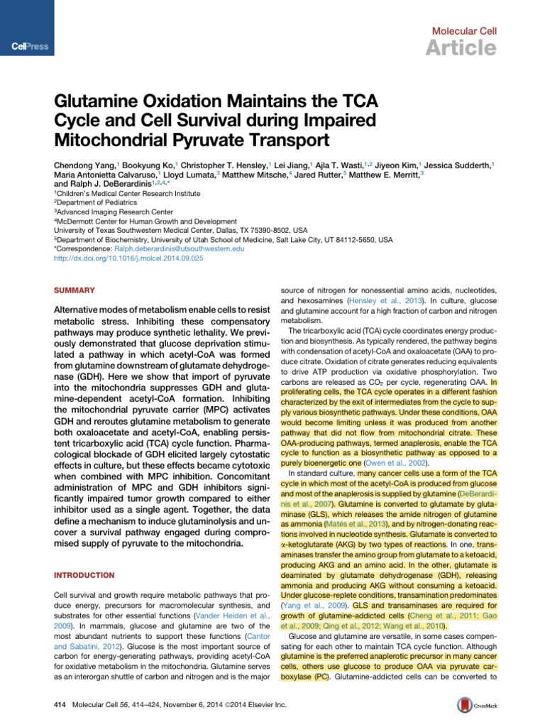 Glutamine Oxidation Maintains The TCACycle and Cell Survival During ImpairedMitochondrial ...