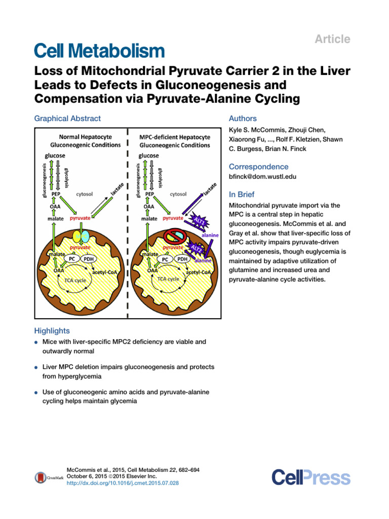Loss Of Mitochondrial Pyruvate Carrier 2 In The Liver Leads To Defects