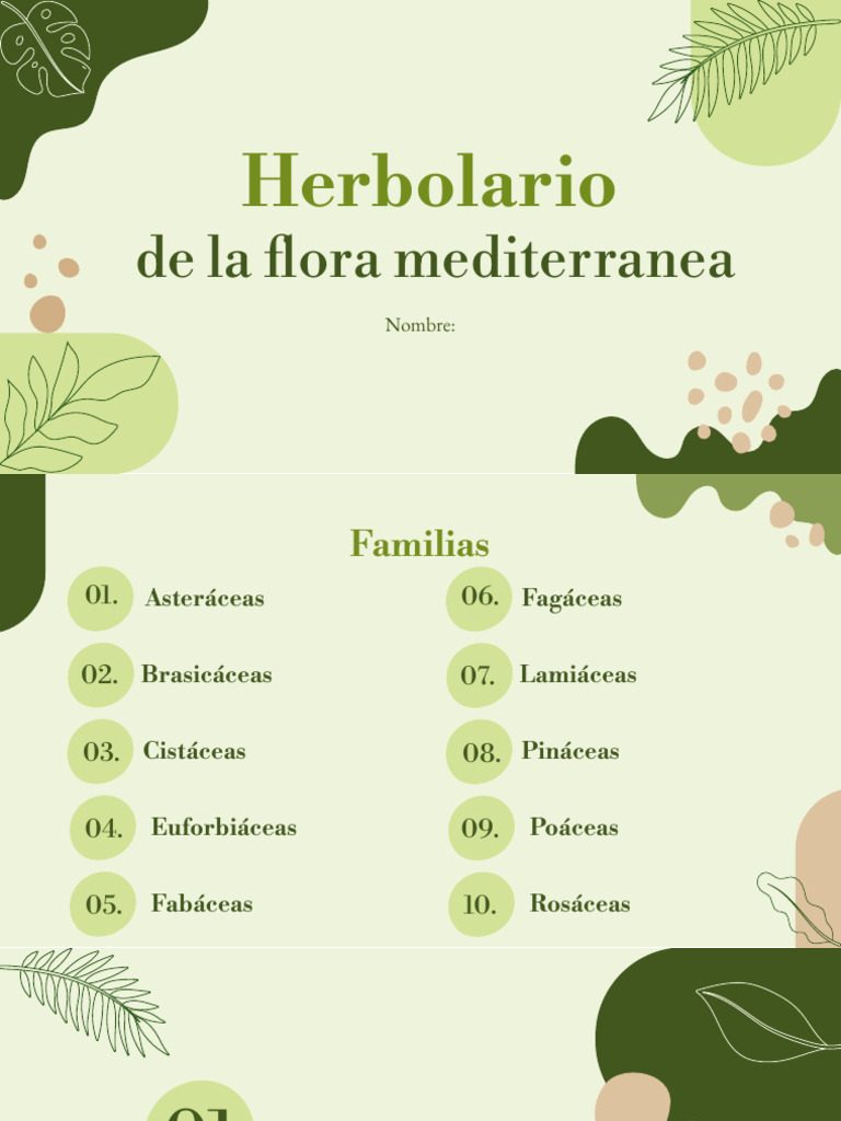 Herbolario Compressed | PDF | Plantas | Botánica