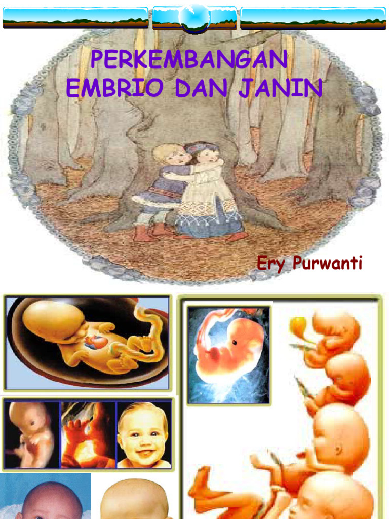 3B. Perkembangan Embrio Dan Janin | PDF