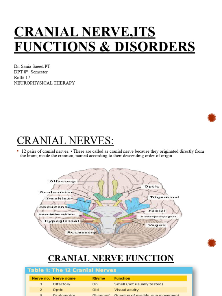 Cranial Nerve Functions and Disorders | PDF | Causes Of Death | Human ...
