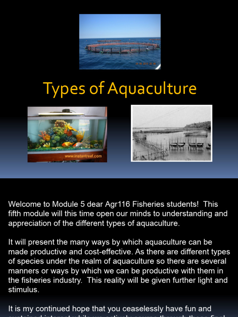 Types of Aquaculture Explained | PDF | Drainage Basin | Pond