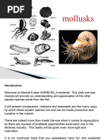 Anatomy of Snails | PDF | Mollusca | Molluscs