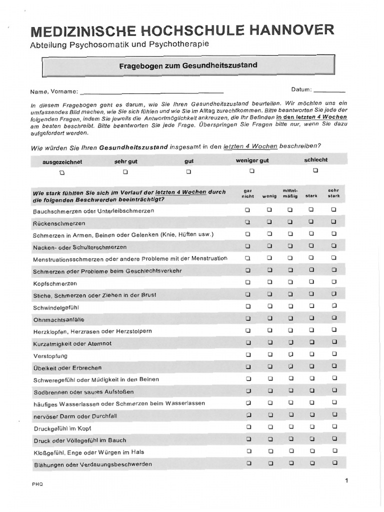 04 - Gesundheitsfragebogen | PDF