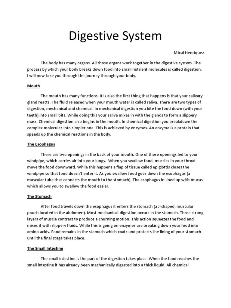 Overview of the Human Digestive System | PDF | Digestion | Human ...