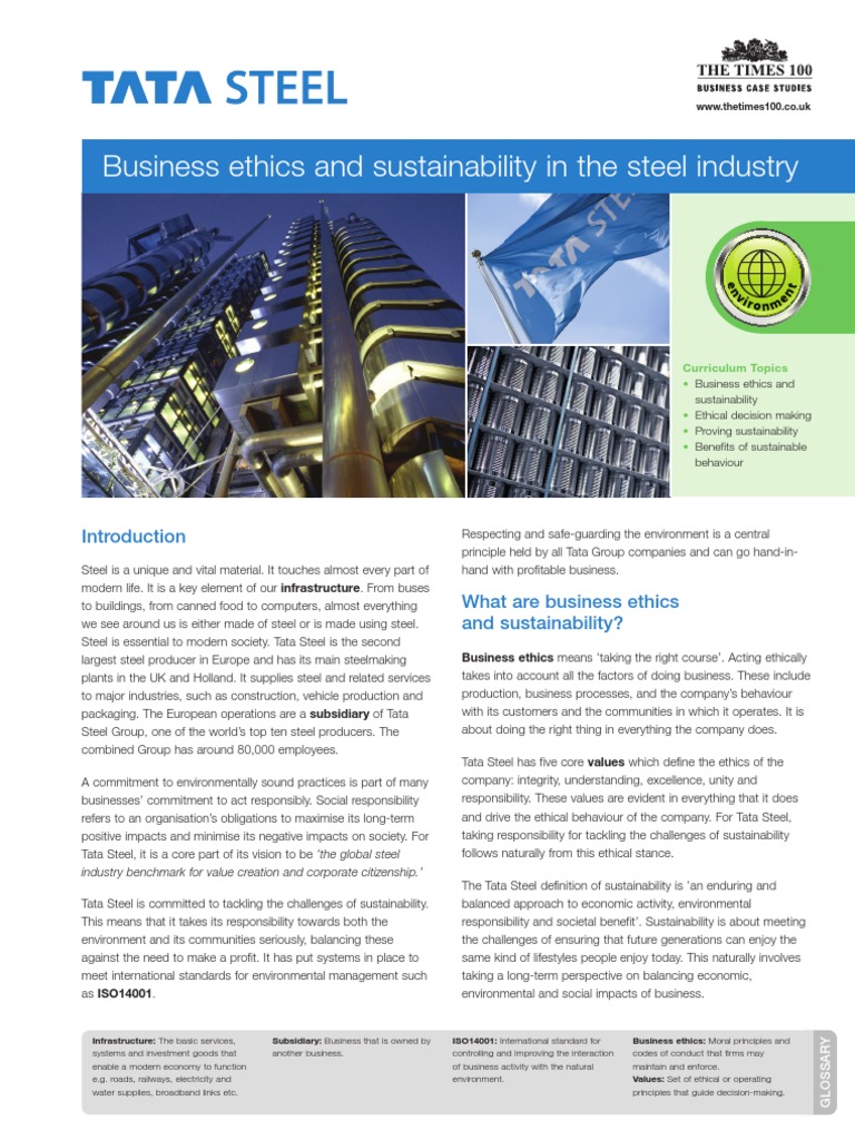 Tata Steel 16 Full | Life Cycle Assessment | Corporate Social ...
