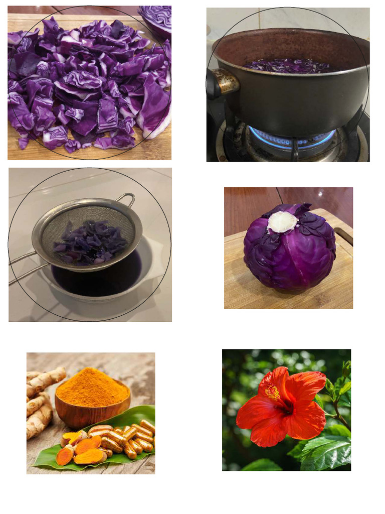 Natural PH Indicators | PDF