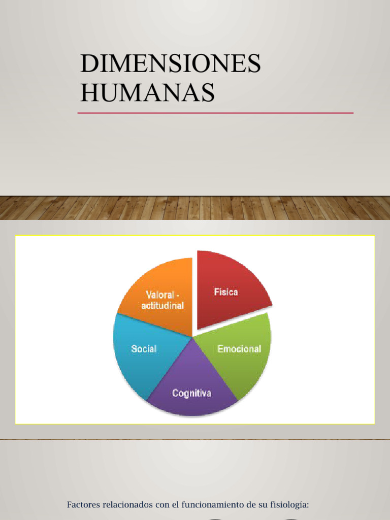 Dimensiones Humanas | PDF