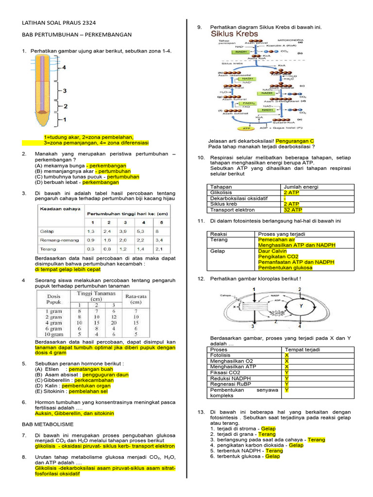 Kunci Latihan Praus Bio 2324 | PDF