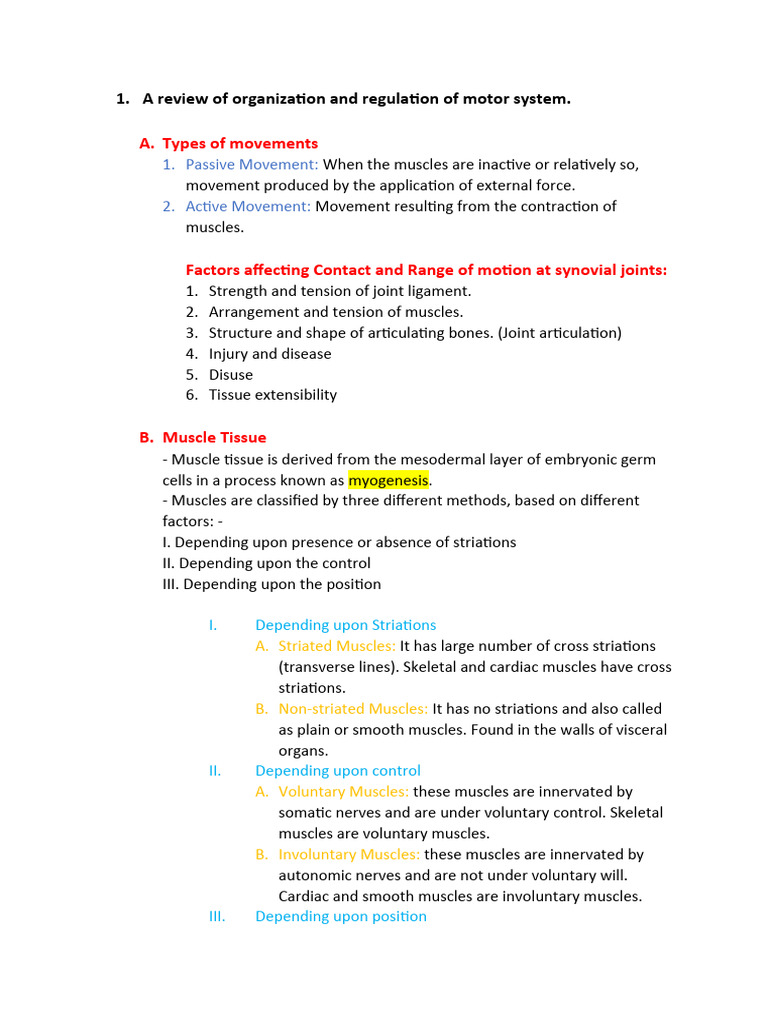 Motor System Organization and Muscle Types | PDF | Skeletal Muscle ...