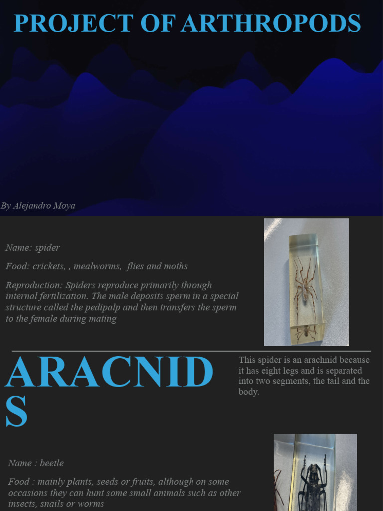 Arthropod Project: Spiders and Beetles | PDF
