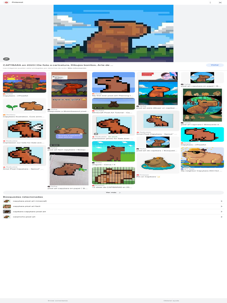 Searchsca Esv 566224941&rlz 1C9BKJA enES1075ES1075&hl Es&q Capibara ...