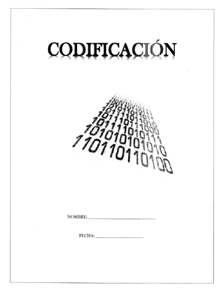 CODIFICACION | PDF