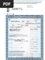 Premium Texas Driver License Template | PDF
