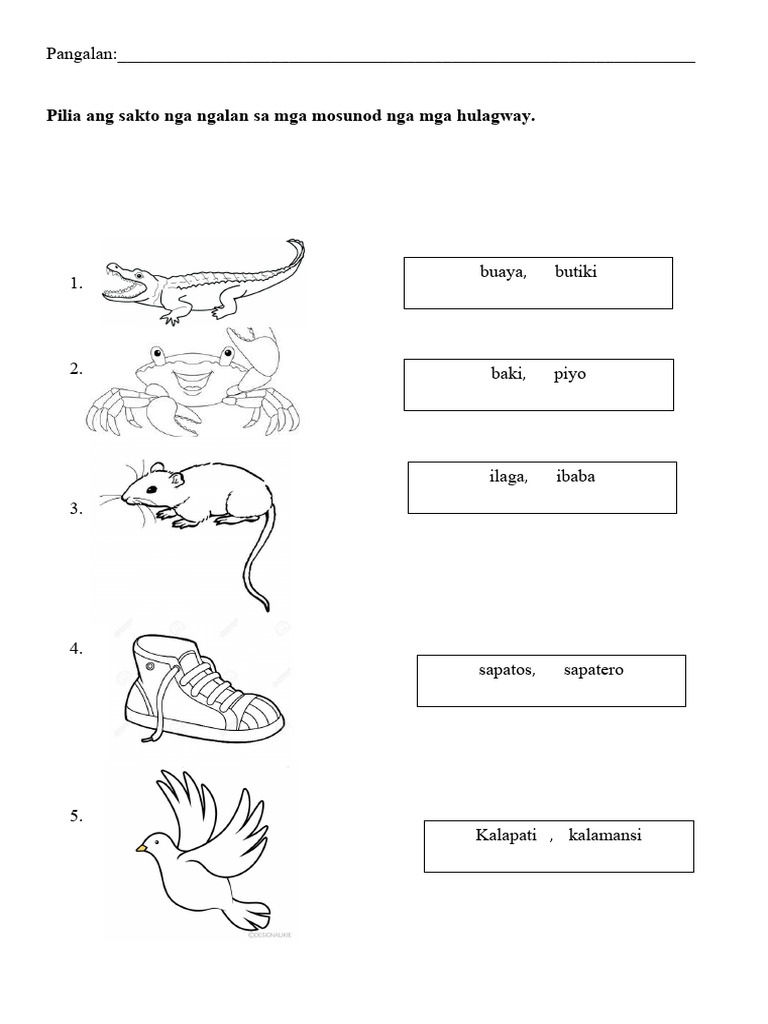 Activity Pangalan | PDF