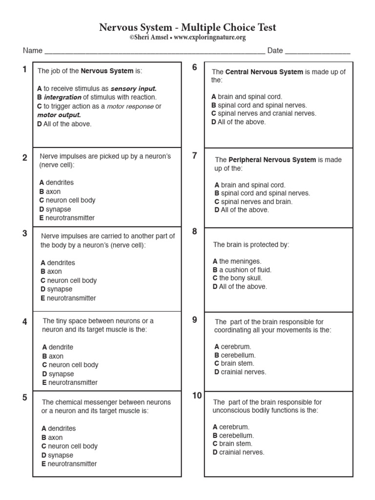Nervous System MCQ Test and Answers | PDF | Neuron | Nervous System
