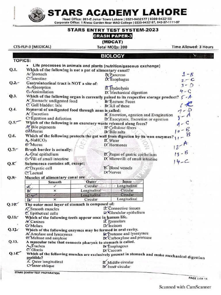 FLP 3 Stars 2023 Key | PDF
