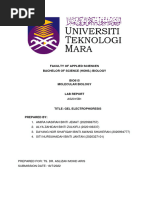 Microscopy Lab Report: BIO122 Experiment 1 | PDF | Microscope | Cell ...