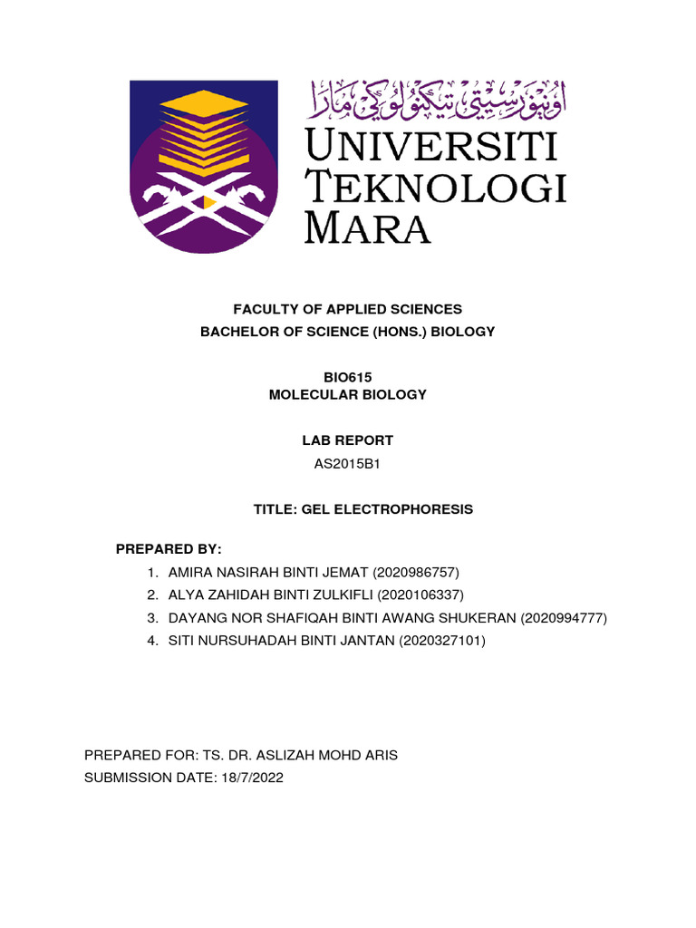 Lab Report | Download Free PDF | Gel Electrophoresis | Agarose Gel ...