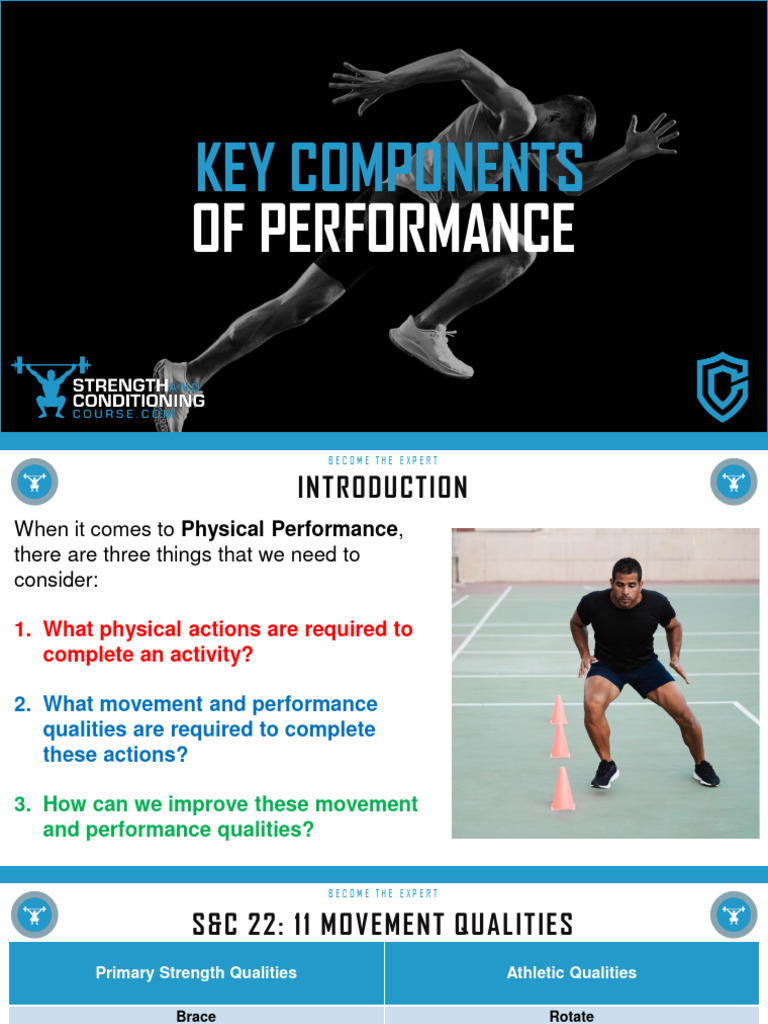 KEY COMPONENTS OF PERFORMANCE | PDF | Flexibility (Anatomy) | Skeletal ...