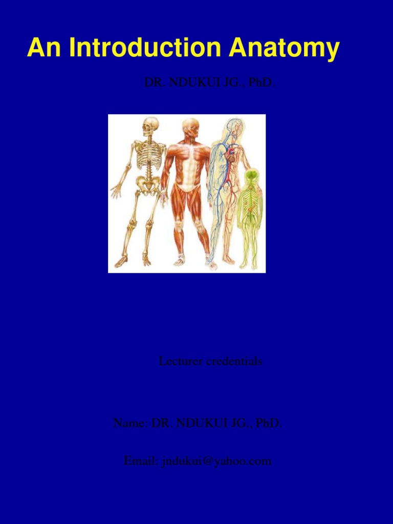 Introduction to Human Anatomy Basics | PDF | Human Body | Peritoneum