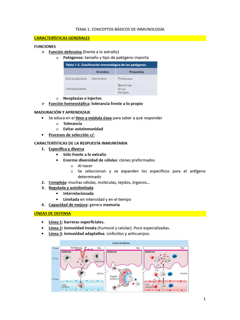 Tema 1. Conceptos Básicos de Inmunología | PDF | Sistema inmune | Sistema inmune innato