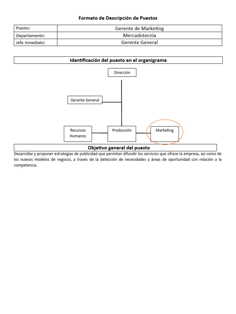 Formato de Descripción de Puestos | PDF