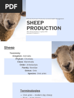 UNIT 3 Animal Production | PDF | Livestock | Agriculture