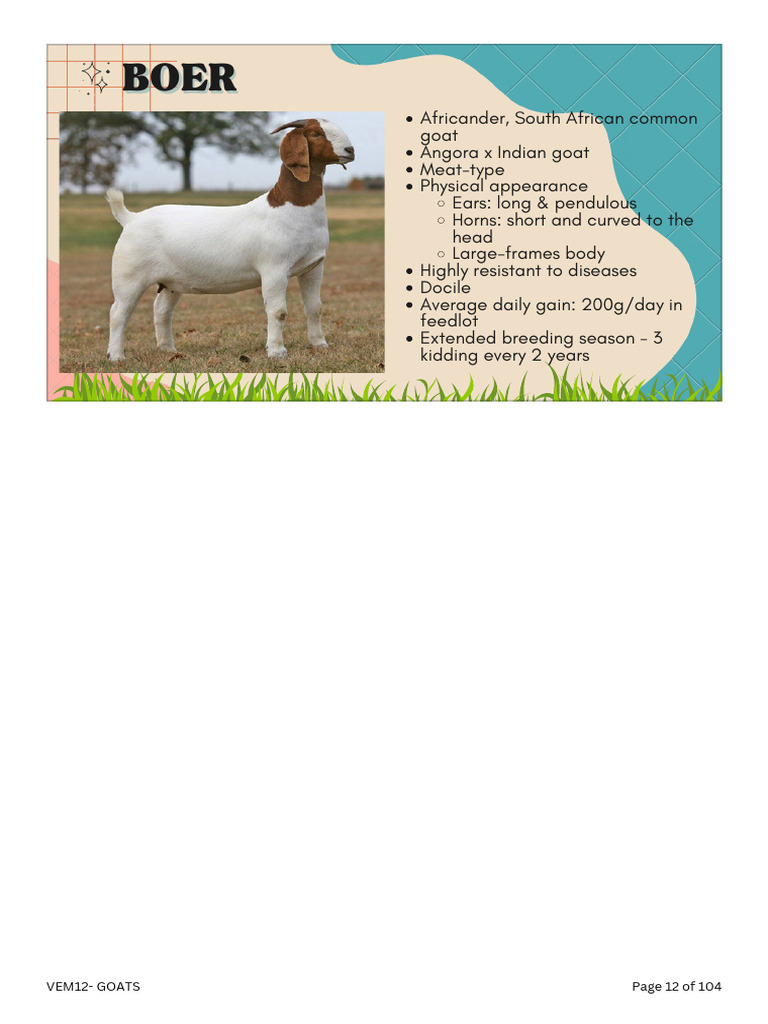 Goat And Sheep Breed Pdf Goat Wool