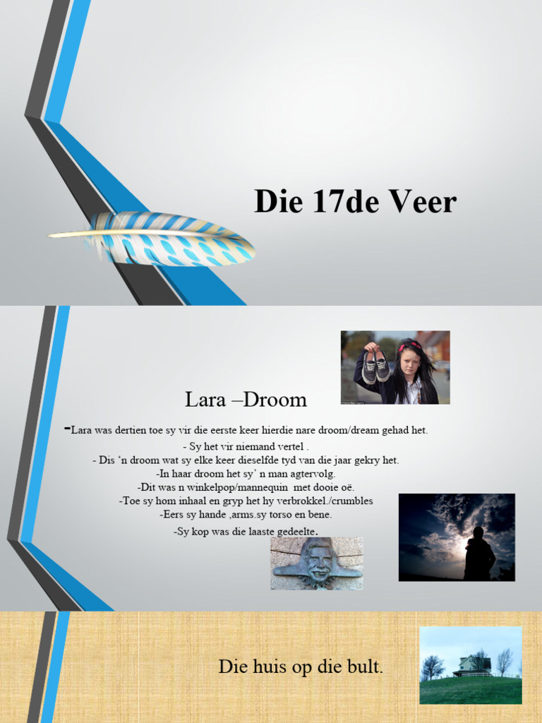 17de Veer Summaries | PDF