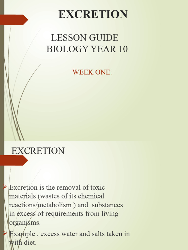 0610 Biology EXCRETION | PDF