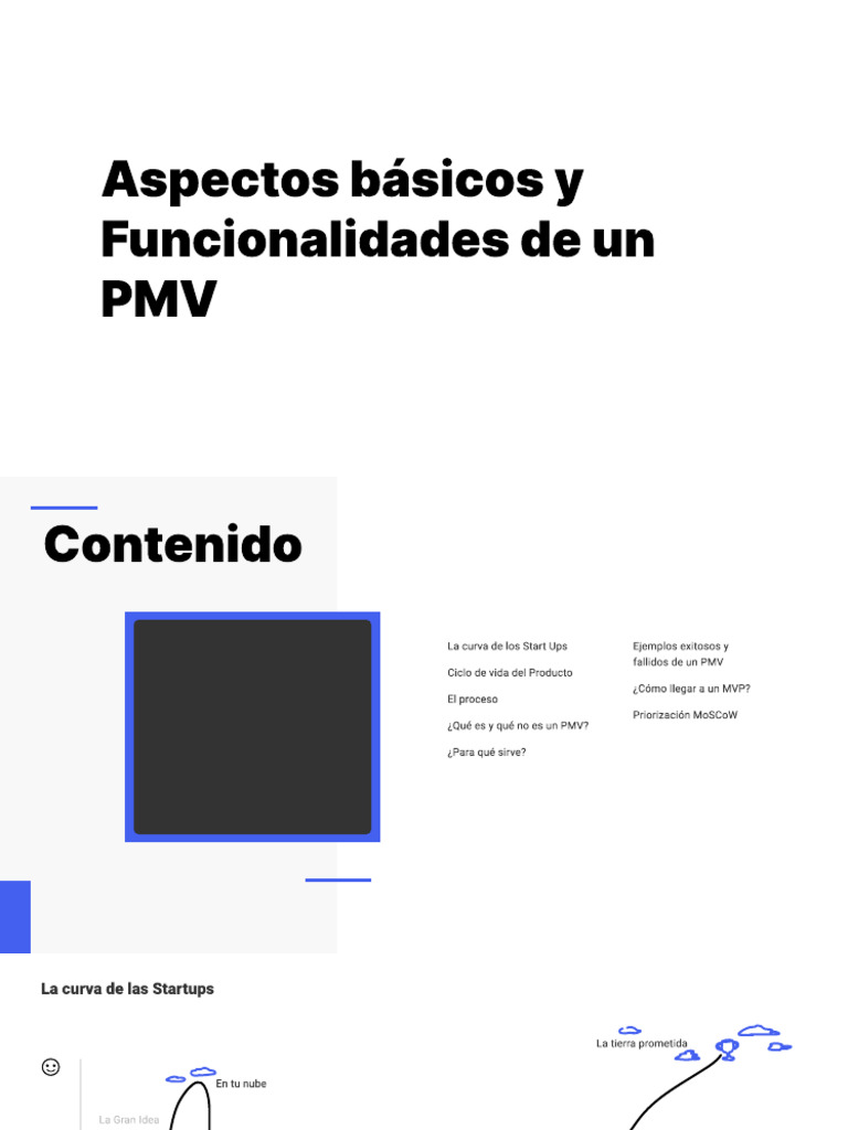 Aspectos Basicos de Un PMV | PDF | Empresa de inicio | Pequeñas empresas y emprendedores
