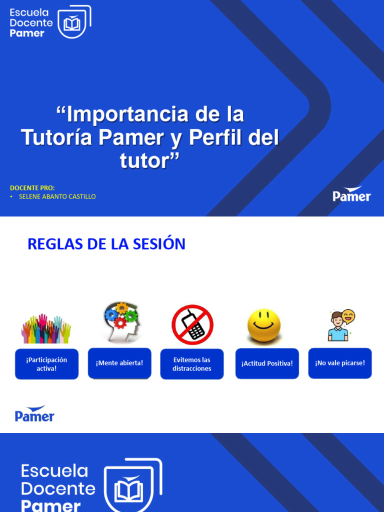 Importancia de La Tutoría Pamer y Perfil Del Tutor | PDF | Sicología | Evaluación
