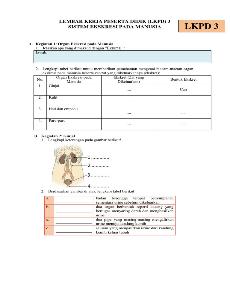 LKPD Sistem Ekskresi | PDF | Komputer