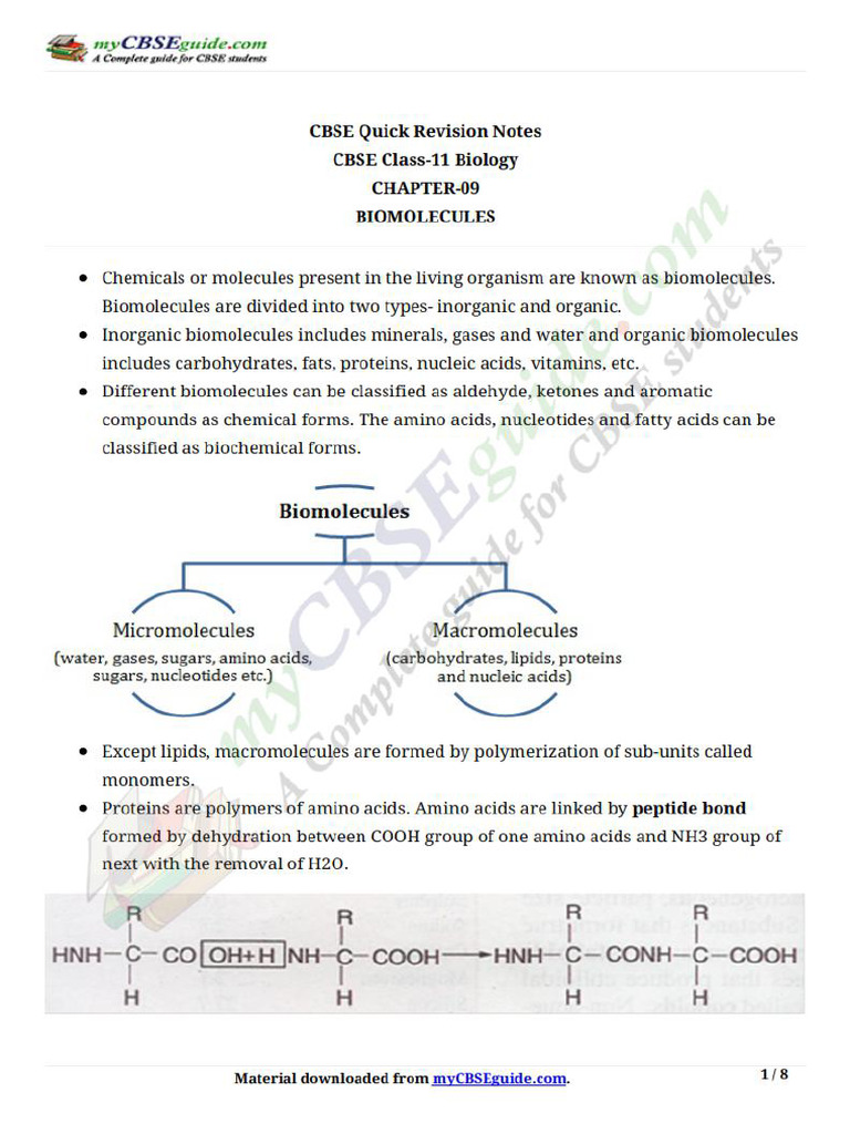 11 Biology Notes Ch09 Biomolecules | PDF