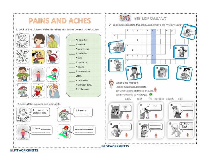 Aches - 8º Ano - Exercises | PDF