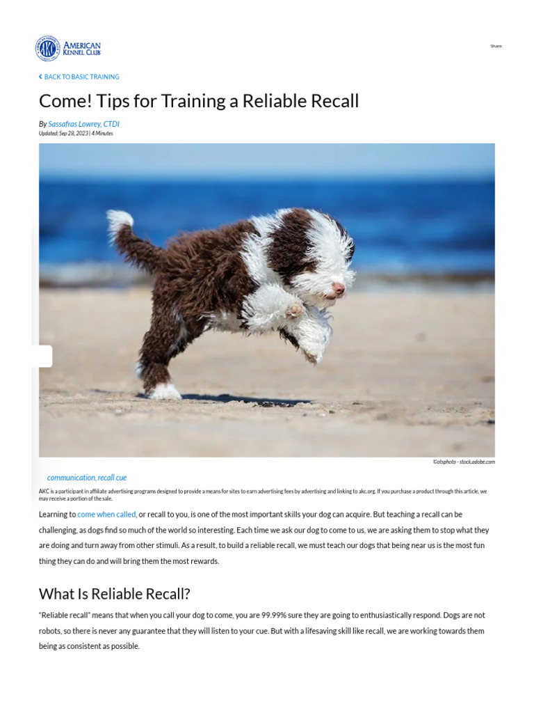 Reliable Recall Training for Dogs | PDF | American Kennel Club | Dogs