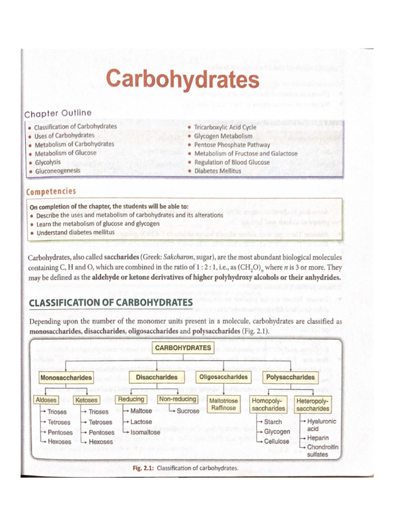 Carbohydrates Biochem | PDF
