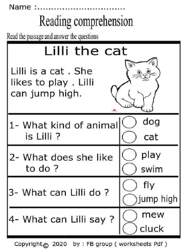 Lilli The Cat | PDF