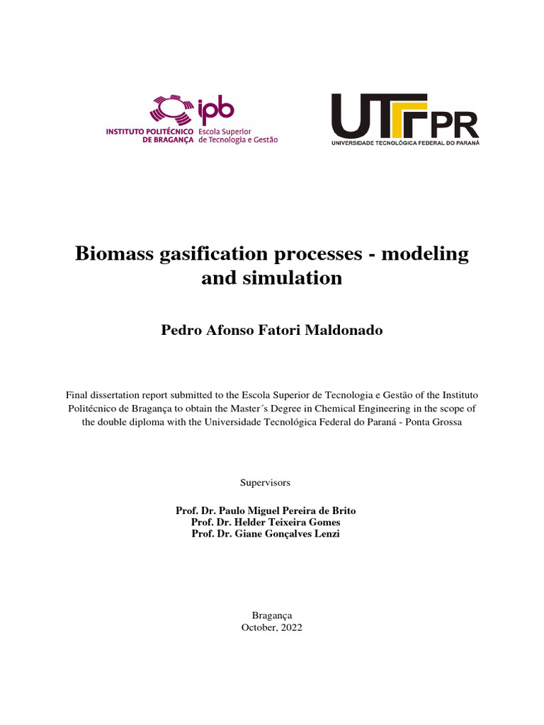 Biomass Gasification Processes - Modeling | PDF | Gasification | Pyrolysis
