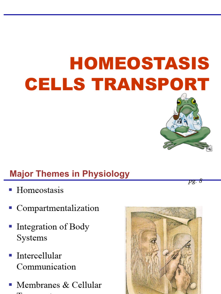 09 Homeostasis Dan Transport Cells 2020 FIS | PDF | Cell Signaling ...
