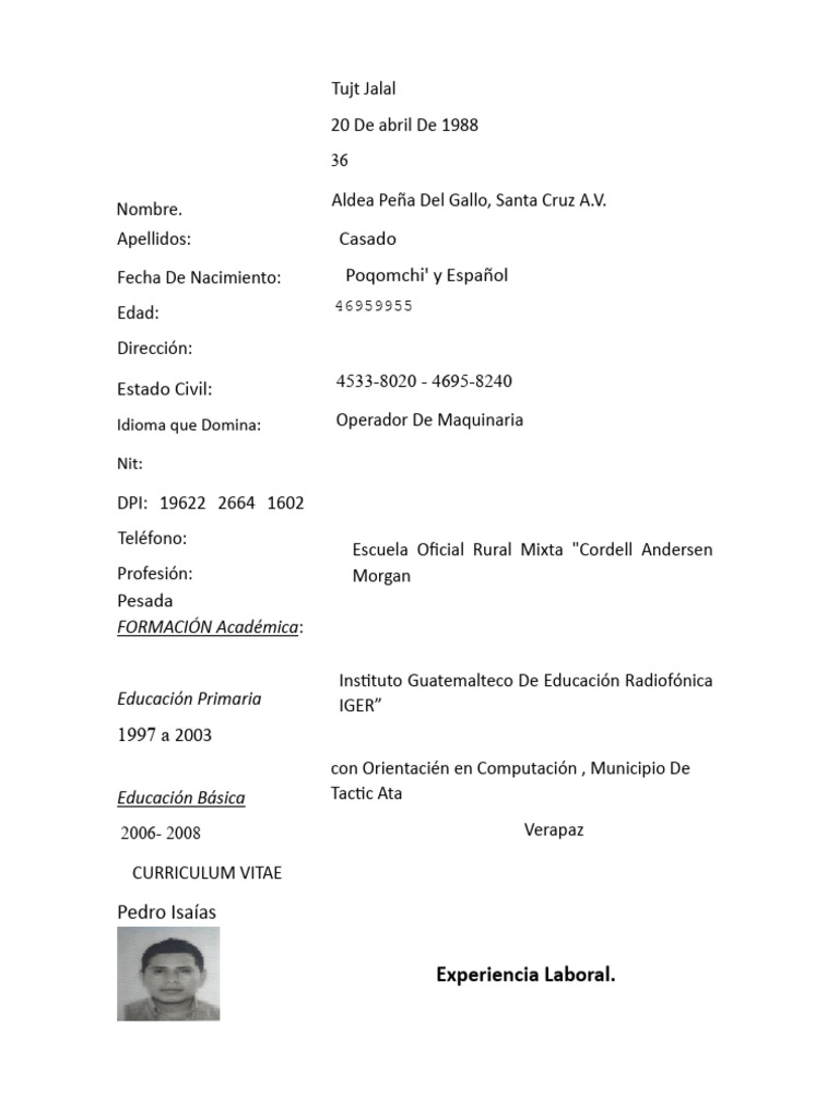 Currículum Actual 2024 | PDF