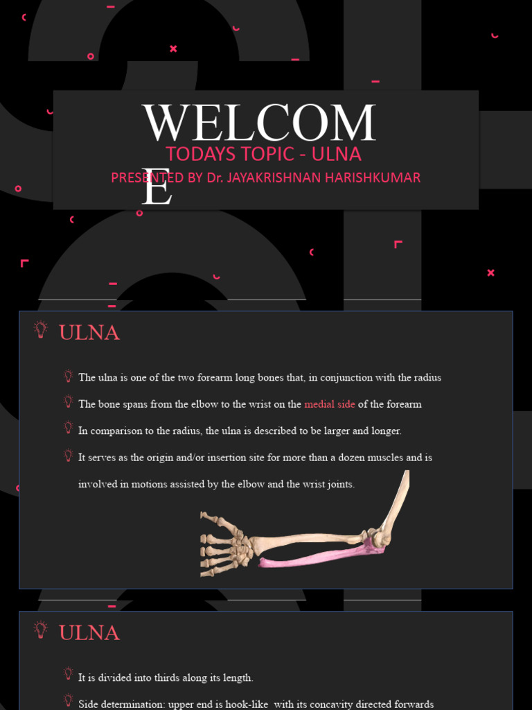 Ulna | Download Free PDF | Elbow | Skeletal System