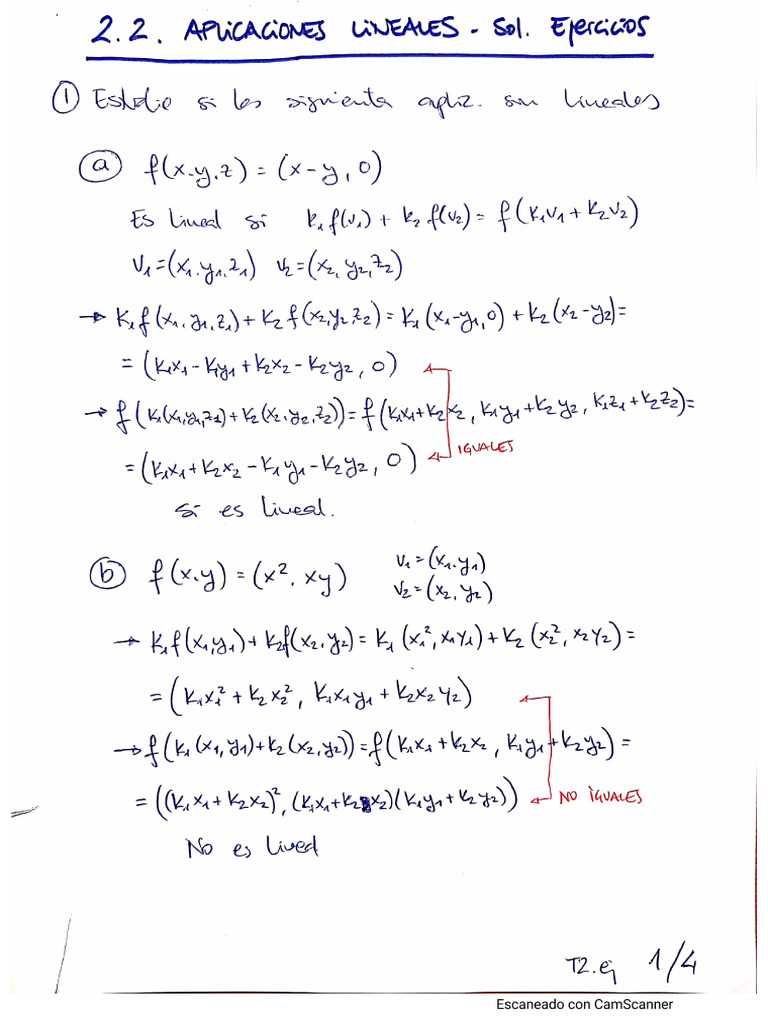 2-4-APLICACIONES LINEALES-EJ (Soluciones) | PDF