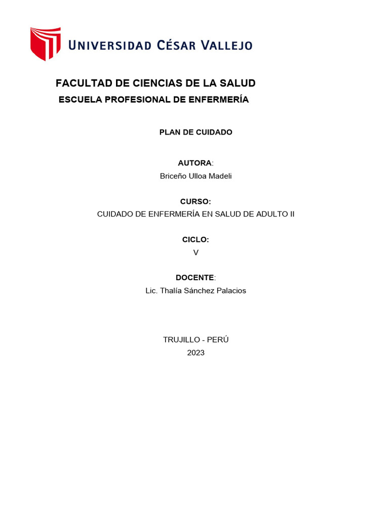 Plan de Cuidado HBT | PDF | Sistema respiratorio | Deshidración