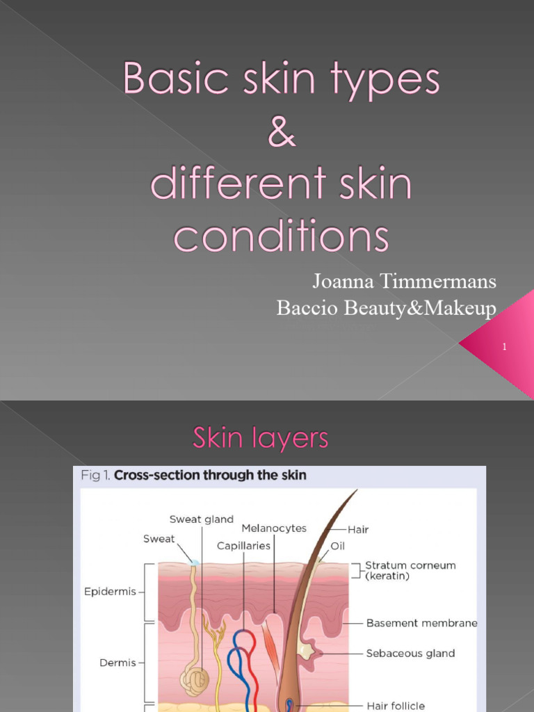 Types of Skin | Download Free PDF | Epidermis | Skin