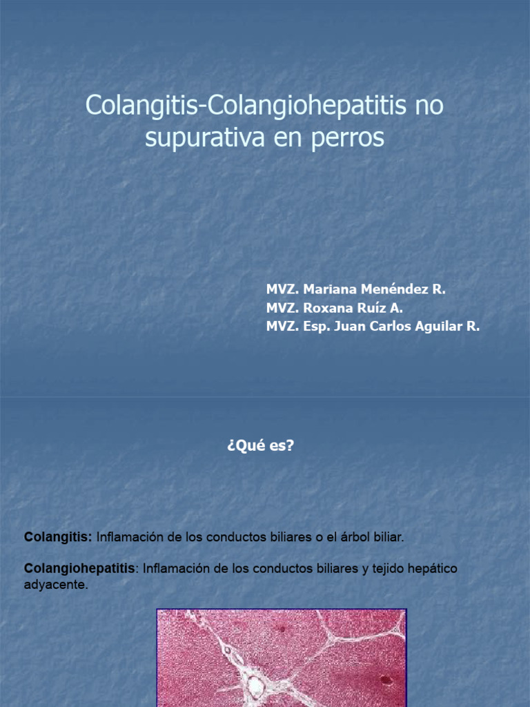 Colangitis no supurativa en perros | PDF | Inflamación | Hígado