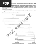 Kingdom Animalia - Phylum Summary Table | PDF | Gill | Zoology